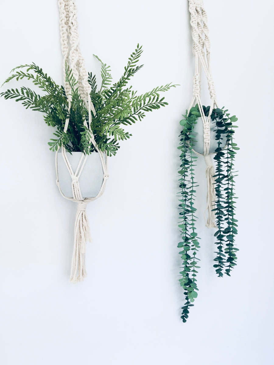 Plant Hangers – Magenta Sunrise